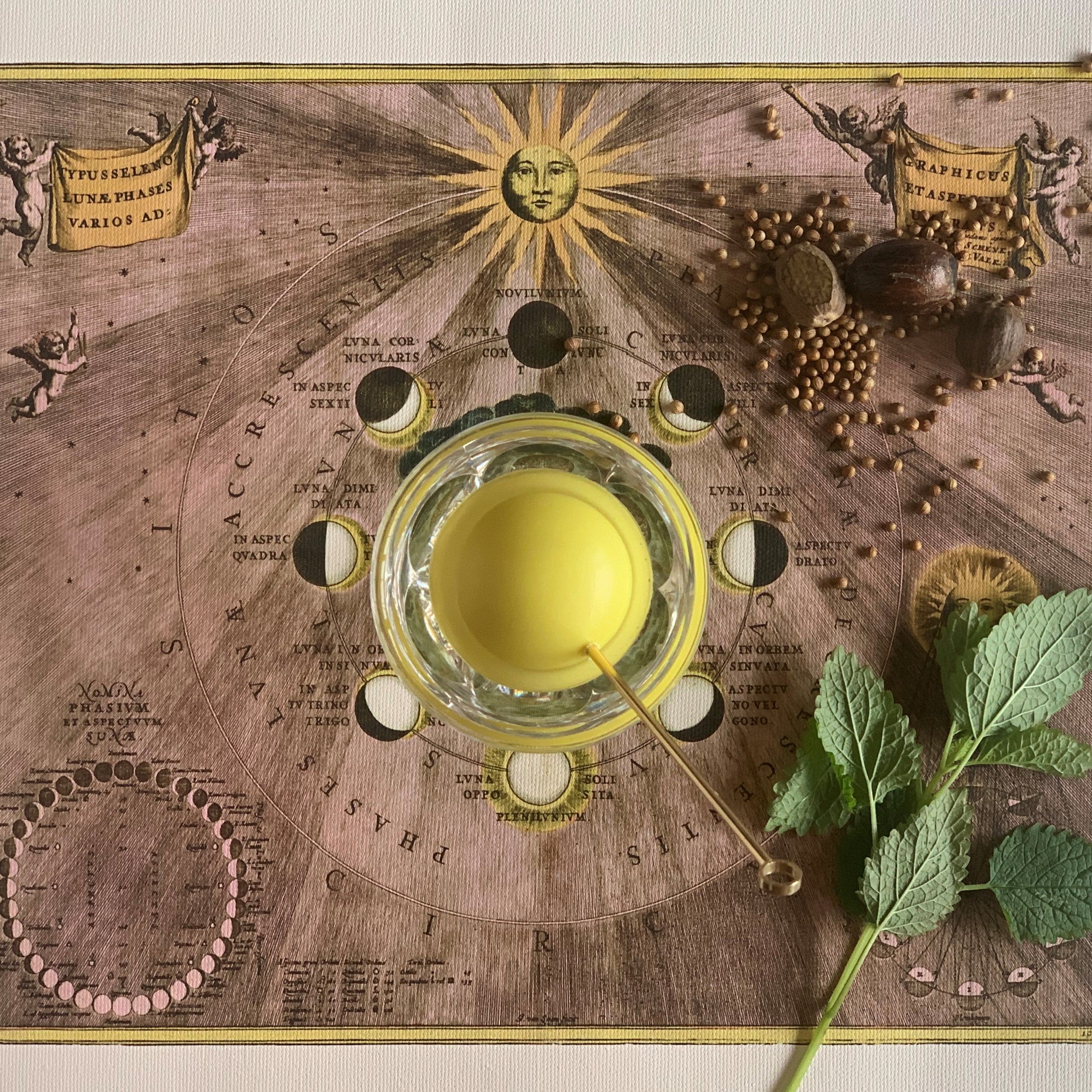 Summer Solstice Ritual