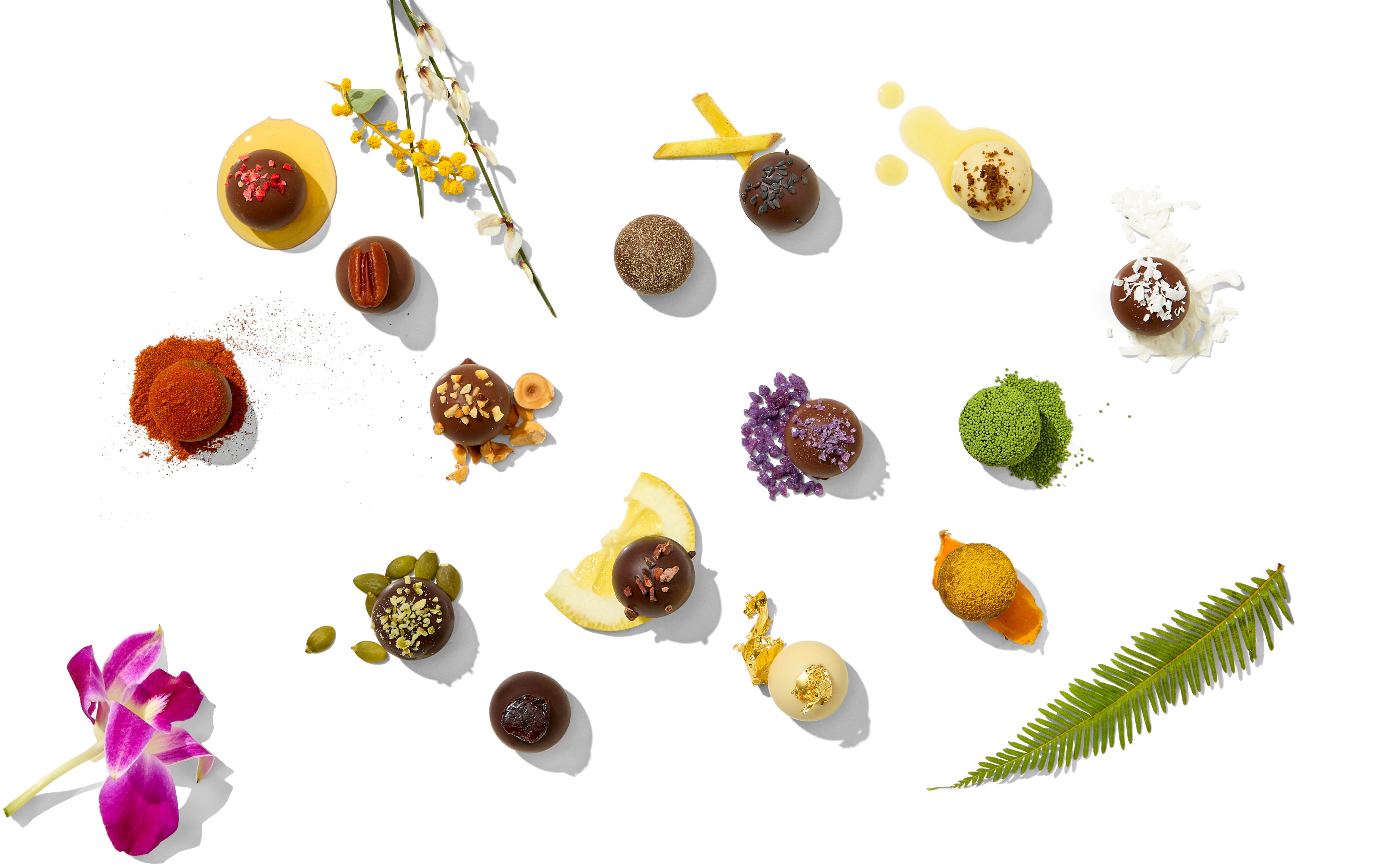 Exotic Truffle Collection, 16P | Exotic Truffles | Vosges Chocolate ...